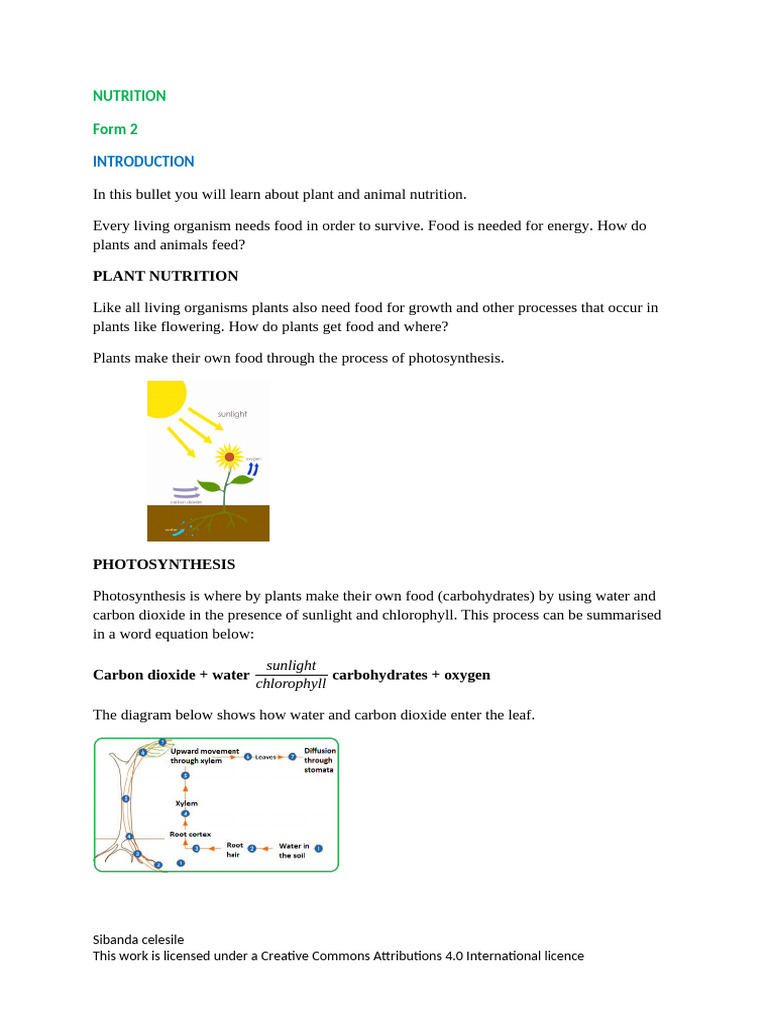 Biology - Form 2 Nutrition in Plants - Plant Nutrition | PDF ...