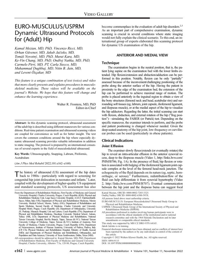 Euro Musculus Usprm Dynamic Ultrasound Protocols.15 | PDF | Hip ...