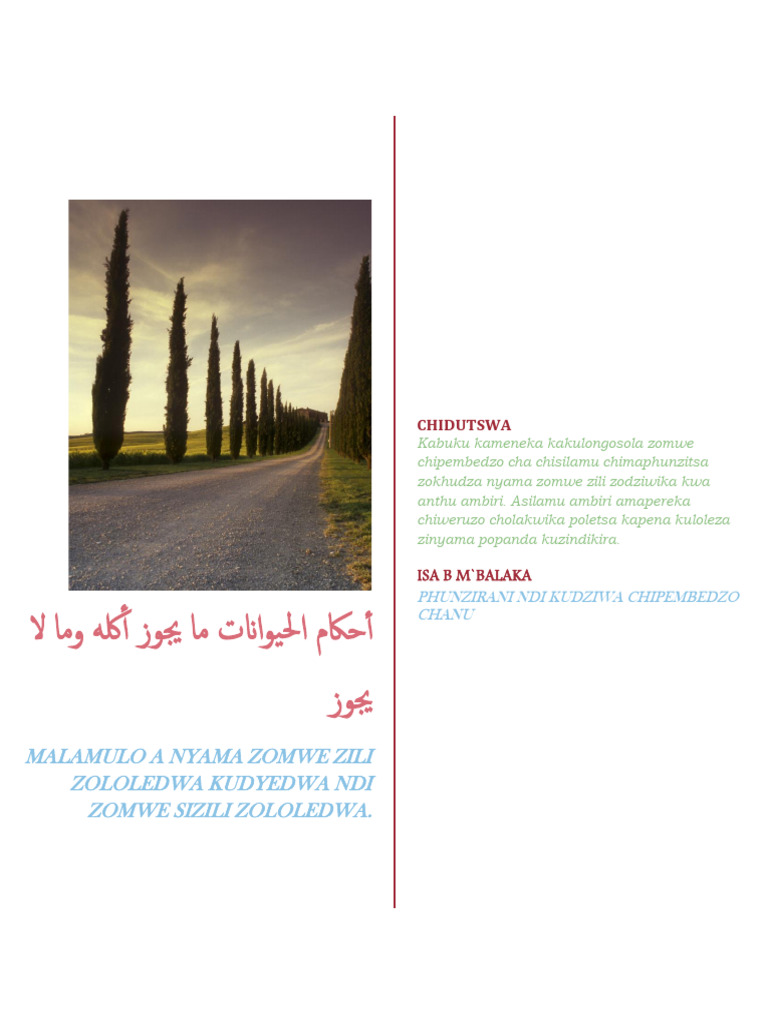 ZINYAMA | PDF
