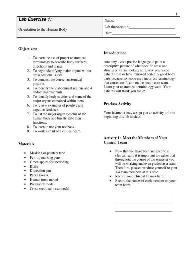 Orientation To The Human Body Lab | PDF | Anatomy