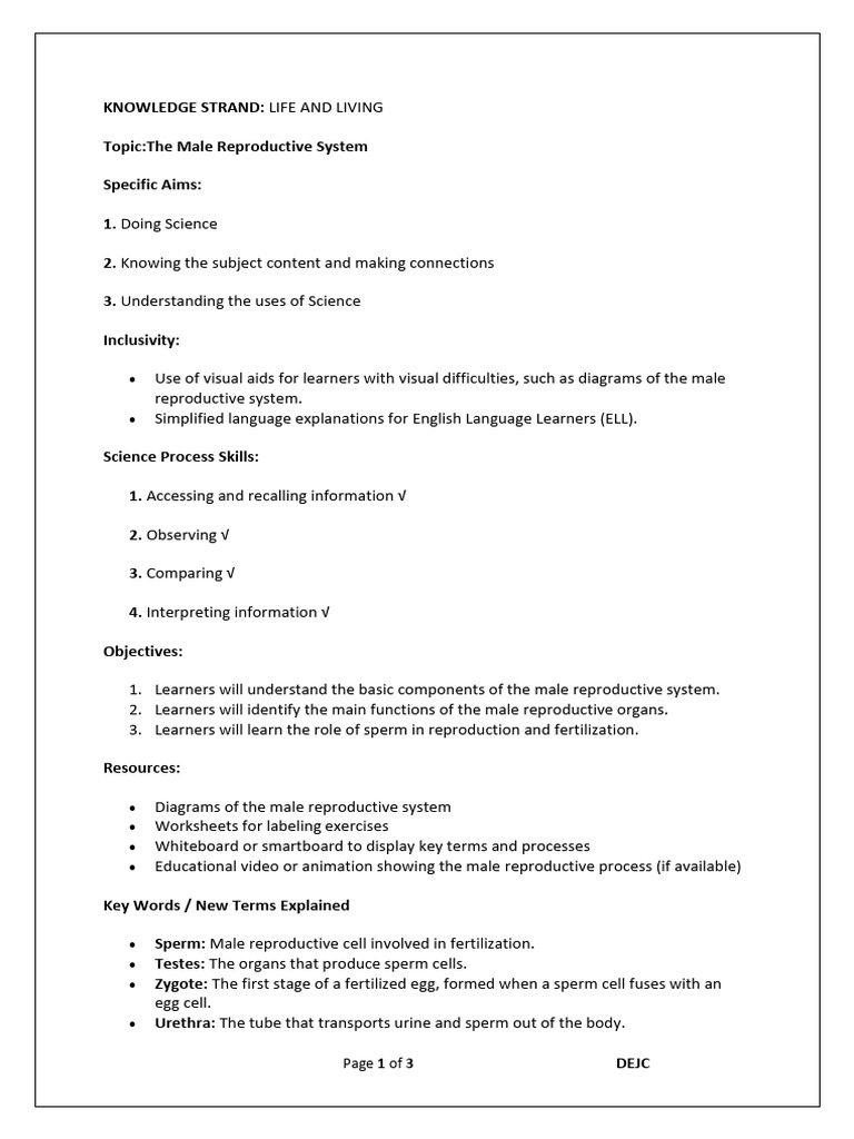 Grade 7 Natural Sciences Male Reproductive System Lesson Plan | PDF ...