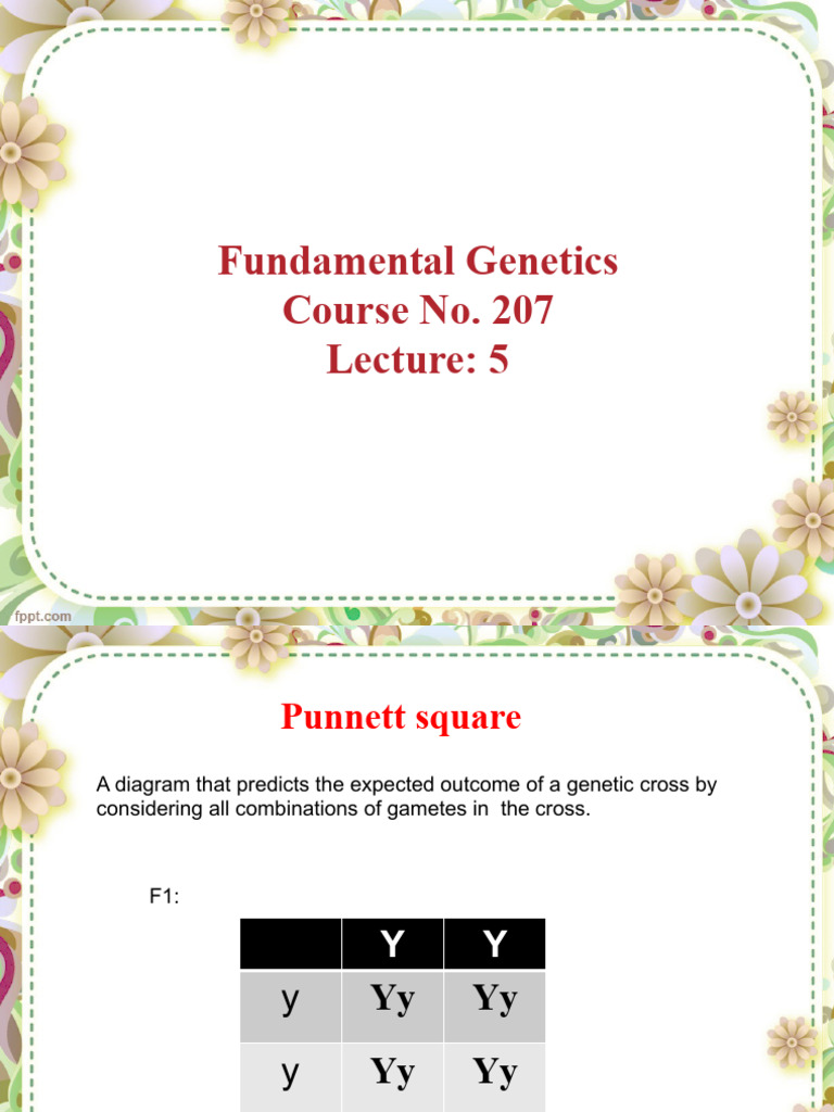 Genetics Probability and Punnett Squares | PDF | Dominance (Genetics ...