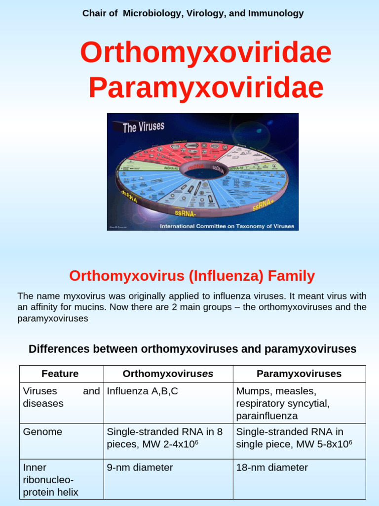 13 Orthomyxoviridae - Paramyxoviridae | PDF | Influenza | Virus