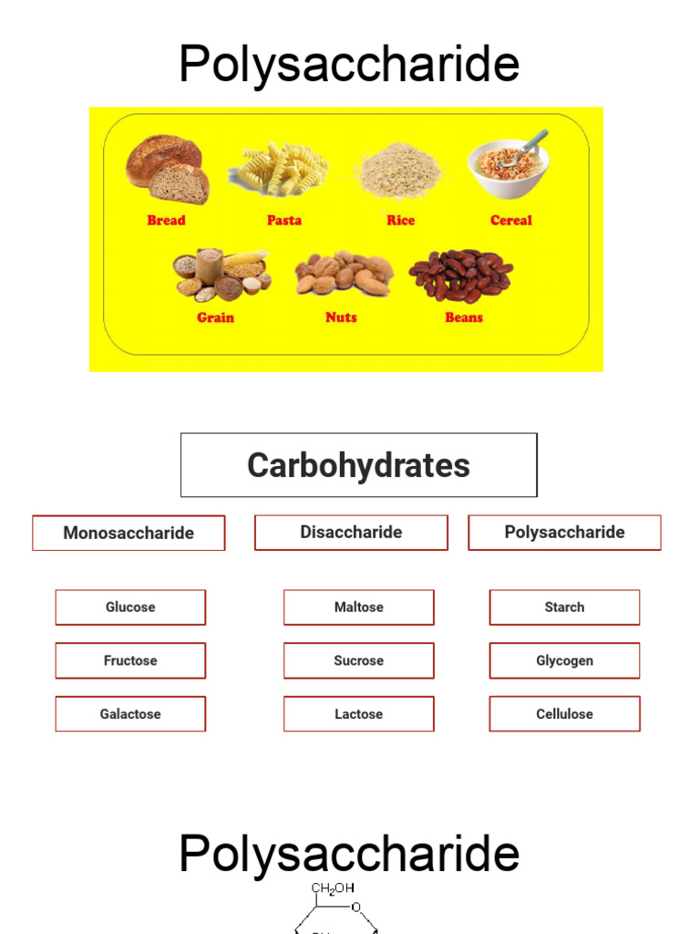 Examples of Food Polysaccharides | PDF