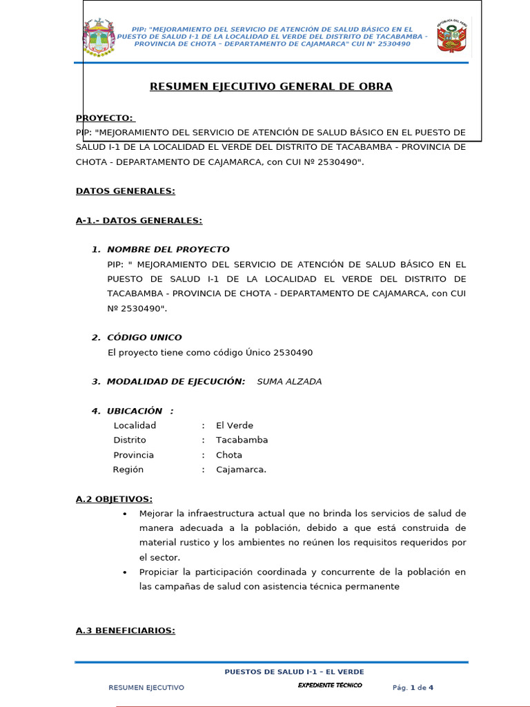 Resumen-Ejec - El Verde | PDF
