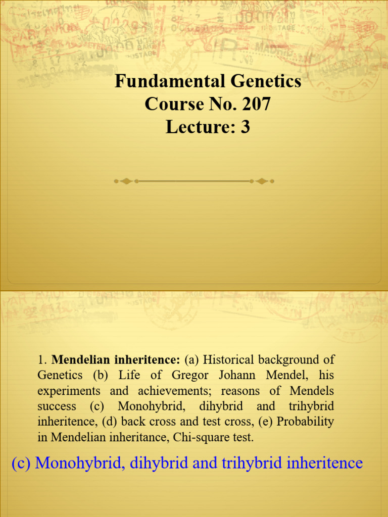 Fundamental Genetics Lecture - 3 | PDF | Dominance (Genetics) | Allele