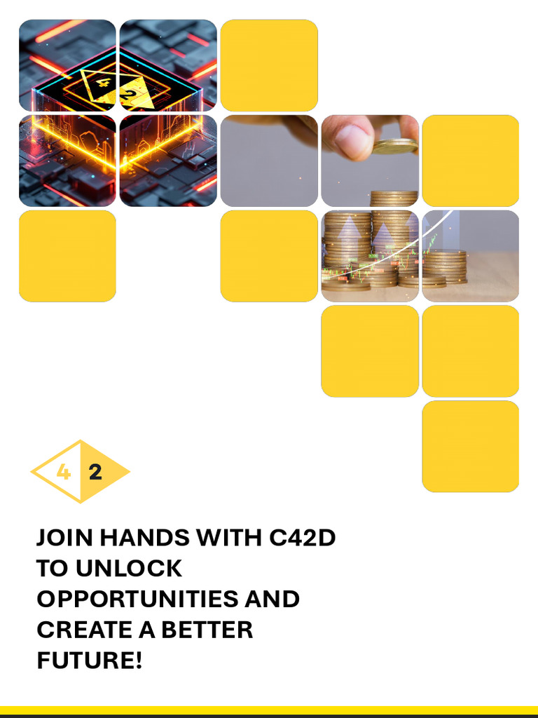 C42D Employee Handbook | PDF | Employment | South Africa