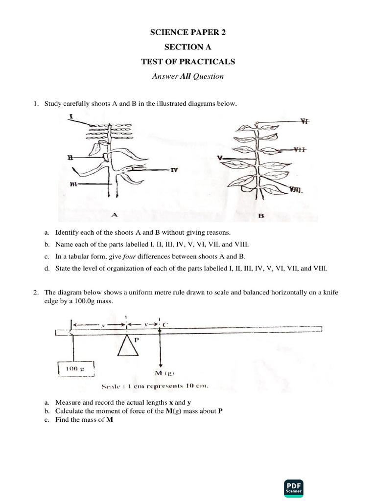 Wassce 2025 Int Science Examinable Questions | PDF