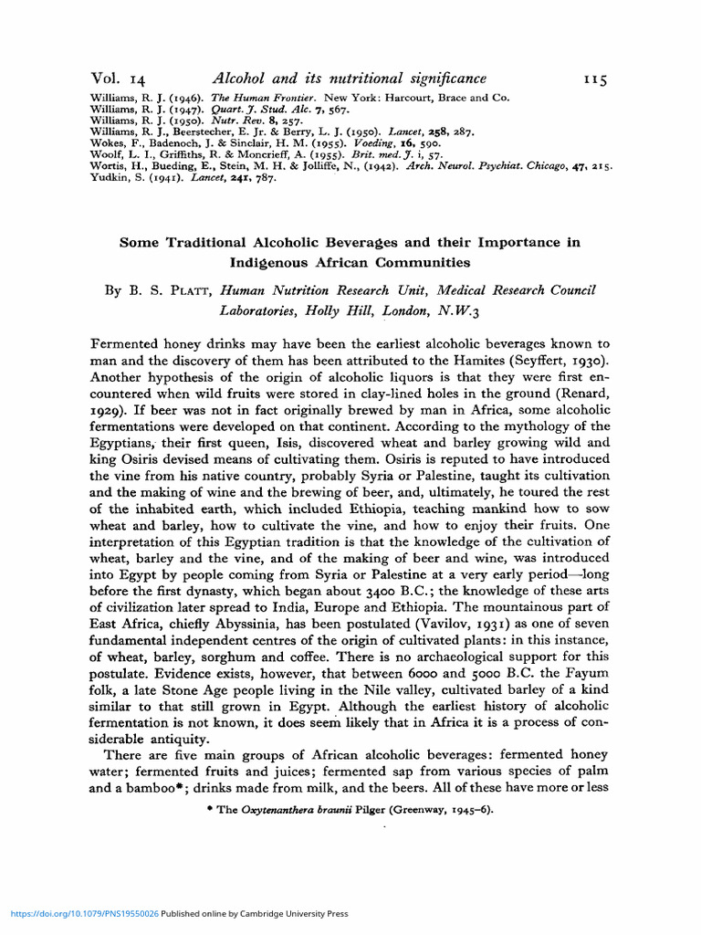 Indigenous African Alcoholic Beverages | PDF | Alcoholic Beverages | Beer