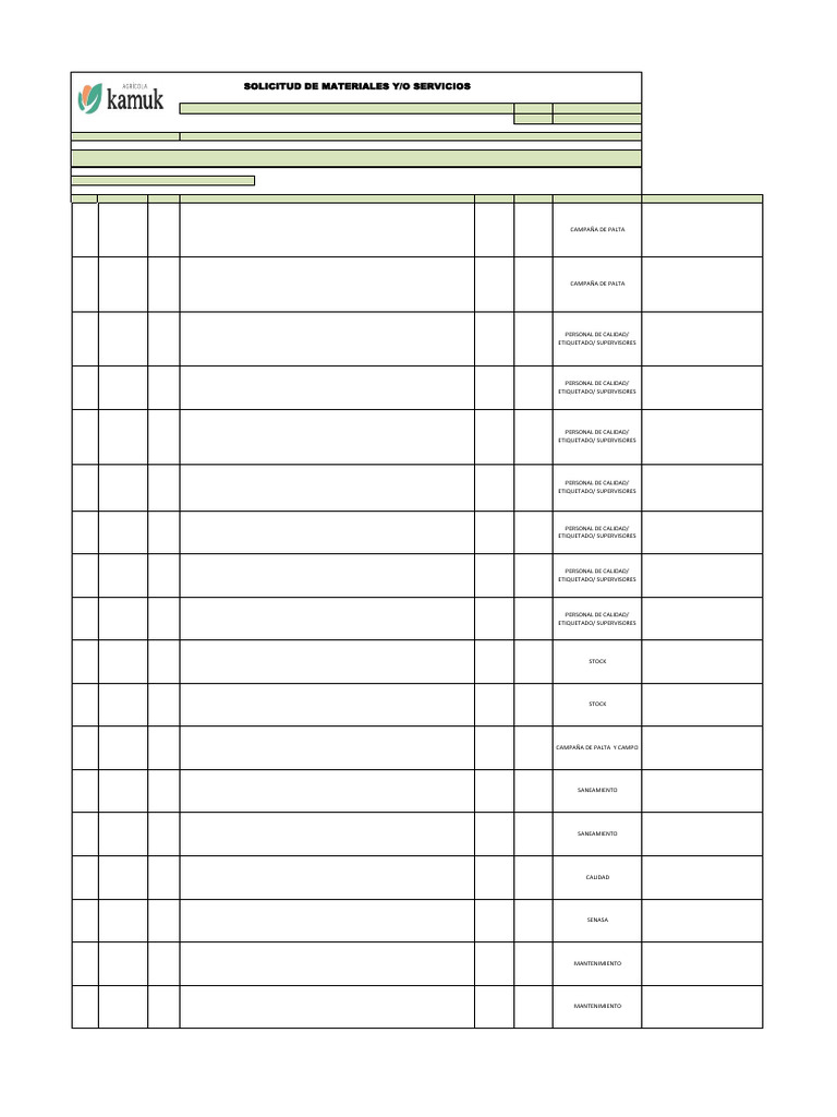 Requerimiento Epps e Implementos-kamuk 25-02-2025!1!2 | PDF