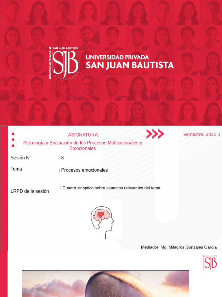 Sesión 8 Proceso Emocional | PDF | Las emociones | Experiencia
