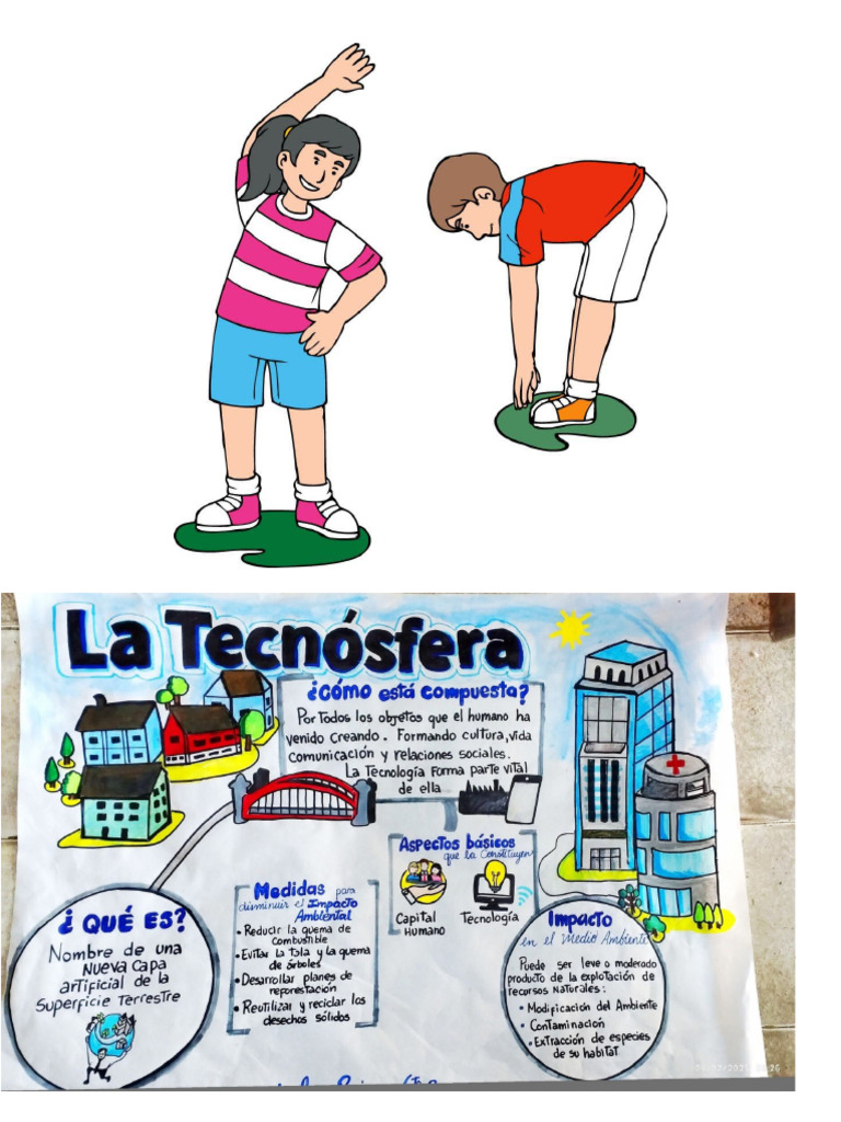 Tecnosfera y Flexibilidad | PDF