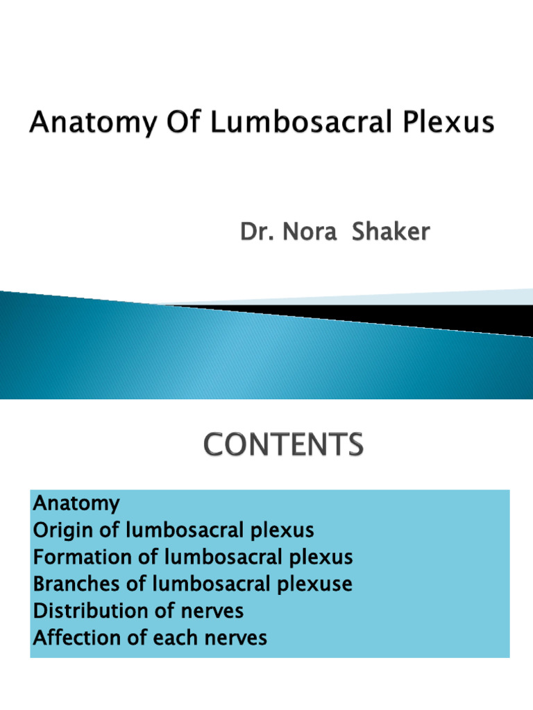 Anatomy of Lumbosacral Plexus | PDF | Human Leg | Lower Limb Anatomy