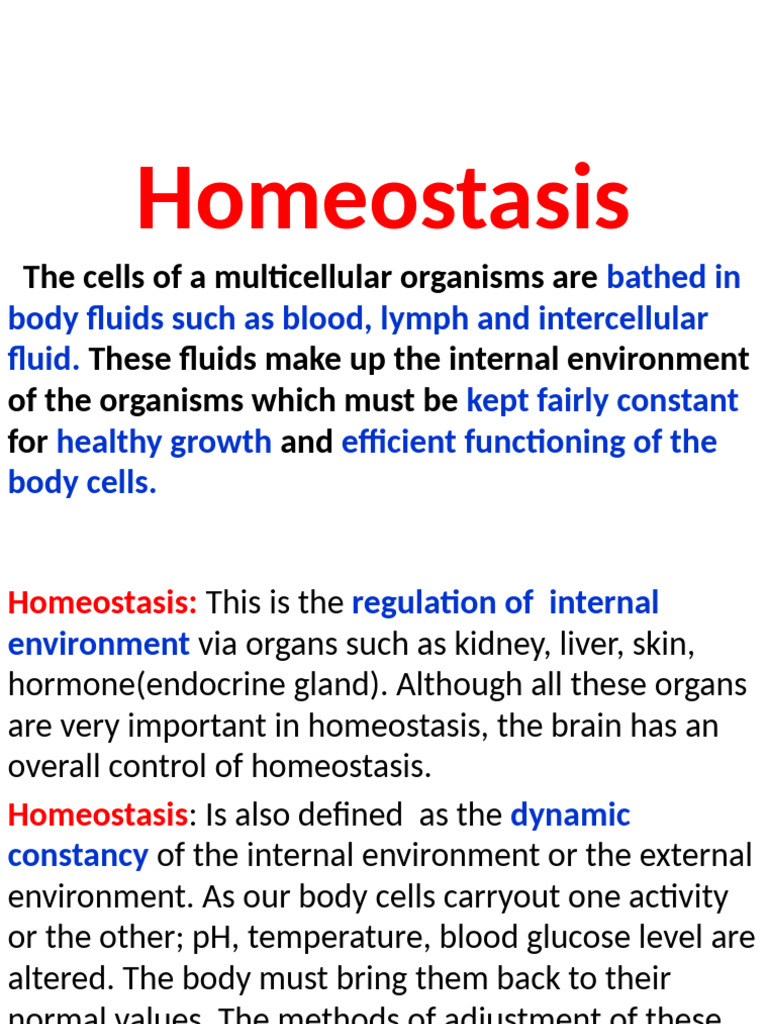 Understanding Homeostasis Mechanisms | PDF | Liver | Homeostasis