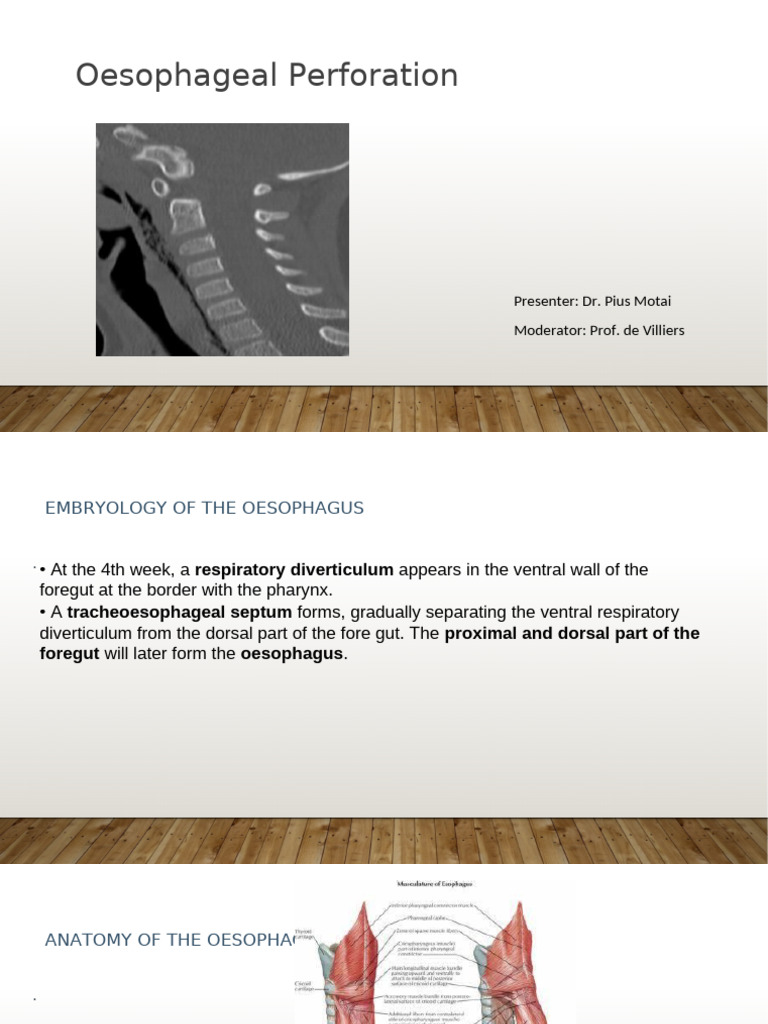 Oesophageal Perforation Overview | PDF | Esophagus | Thorax (Human Anatomy)