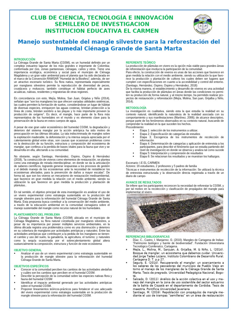 Proyecto Del Mangle Silvestre, IE EL CARMEN, 2024 | PDF | Entorno ...