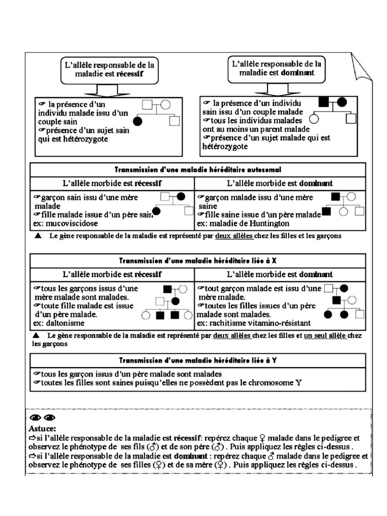 Résumé de SVT | PDF