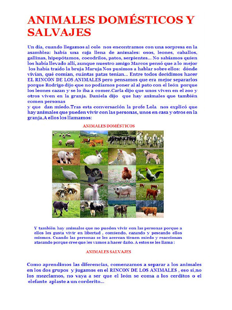 Animales Domesticos y Animales Salvajes | PDF