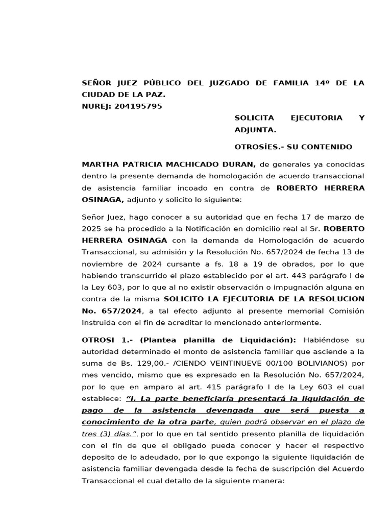 3 - Solicita Ejecutoria y Presenta Liquidacion | PDF