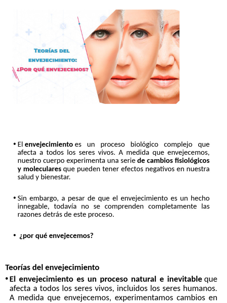 Teoria Del Envejecimeinto | PDF | Envejecimiento | Telómero