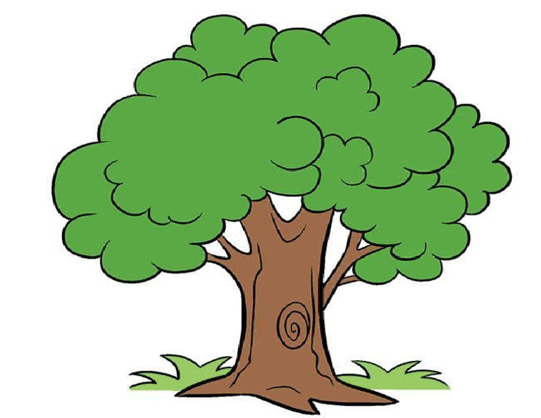 Tree | PDF