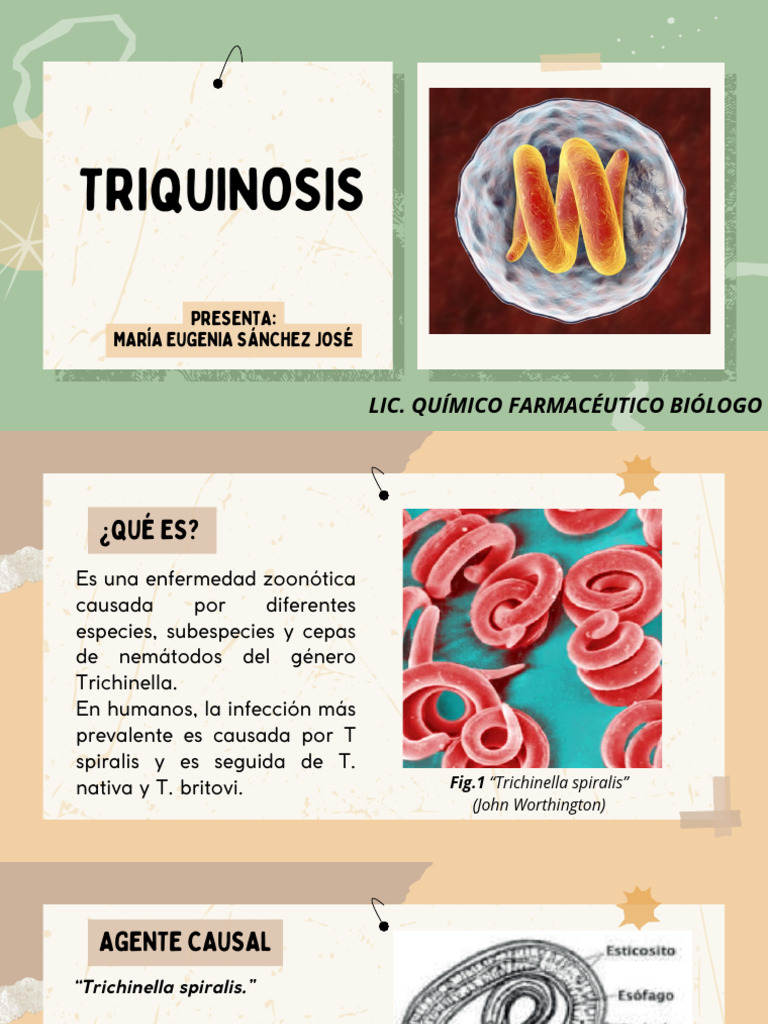 Triquinosis: Causas, Síntomas y Prevención | PDF | Animales y humanos ...