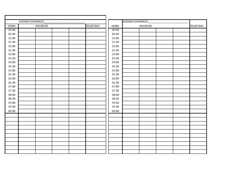 Formato Agenda | PDF