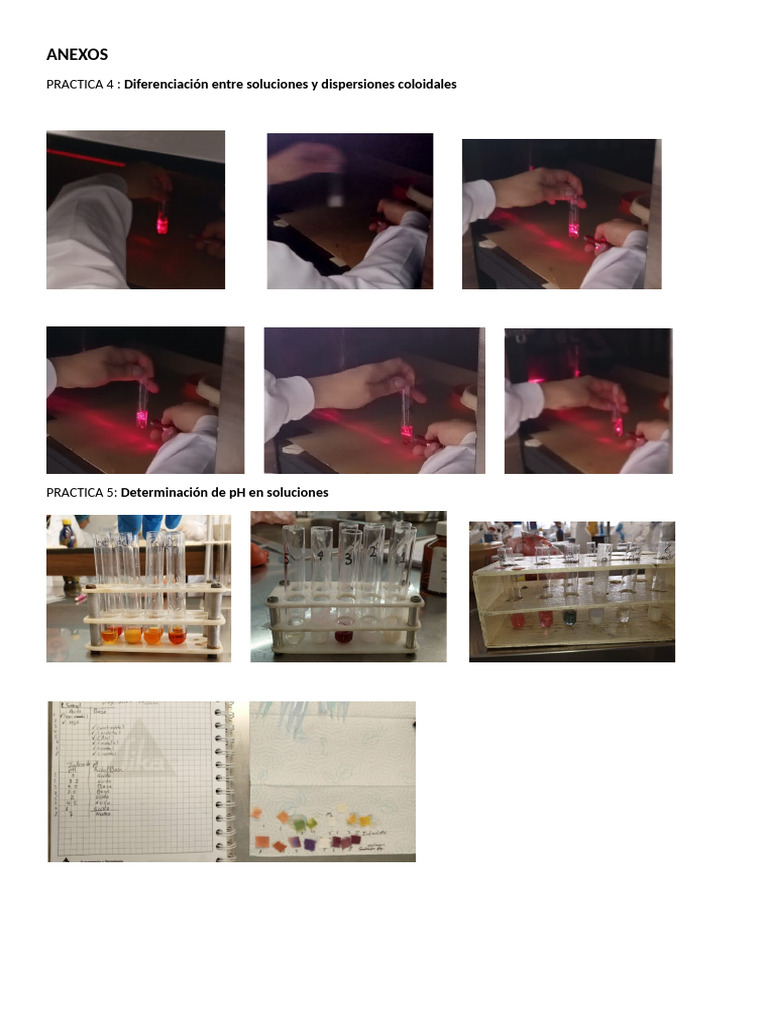Anexos Practica 4 y 5 | PDF
