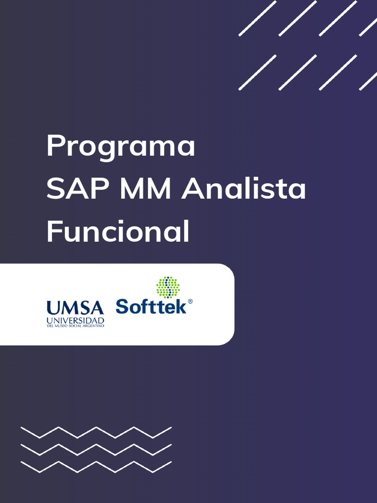 Curso SAP MM: Análisis Funcional y Prácticas | PDF | Planificación de ...