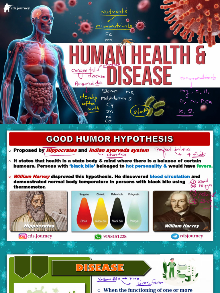 Good Humor Hypothesis and Disease Overview | PDF | Immune System | Allergy