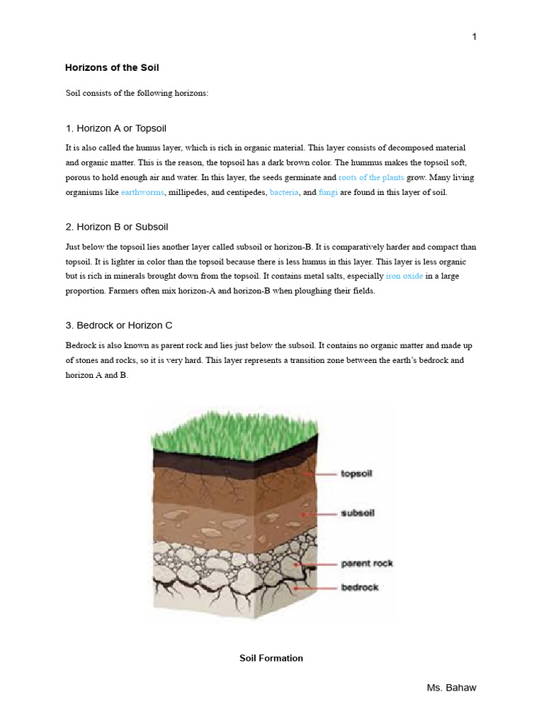 Soil Horizons: Types and Formation | PDF | Soil | Weathering