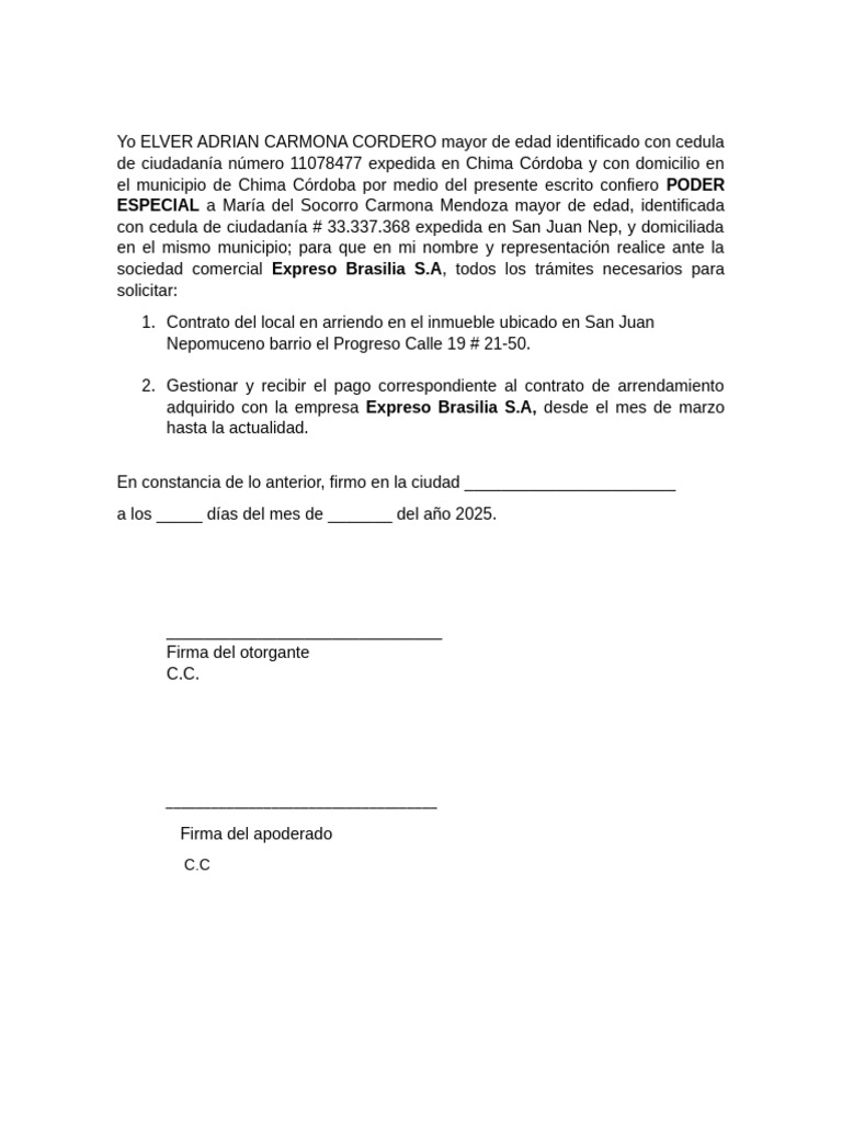 Formato de Poder Especial | PDF