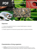 Taxonomy Graphic Organizer | PDF | Eukaryotes | Prokaryote