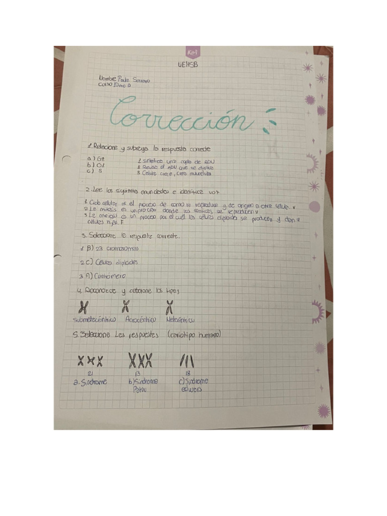 Corrección CCNN | PDF