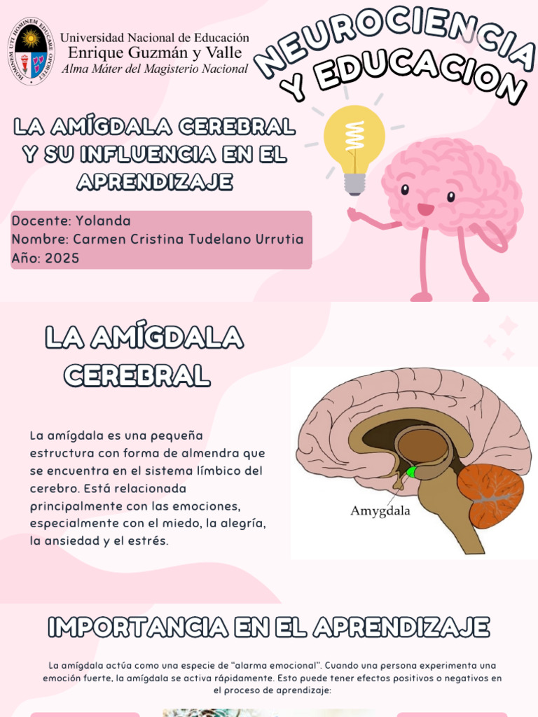 Amigdala Cerebraldtkudtujdtjdtjdtjdtjdty | PDF