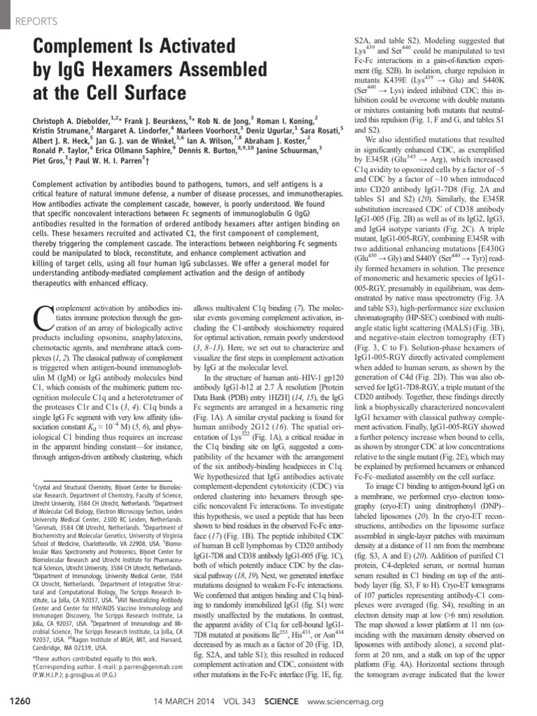 Science-2014-Diebolder-Complement Is Activated by IgG Hexamers | PDF | Antibody | Immunoglobulin G