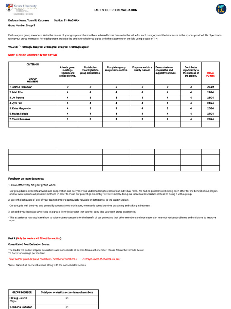 Youmi - Rk11madigan - Fact Sheet - Peer Evaluation | PDF