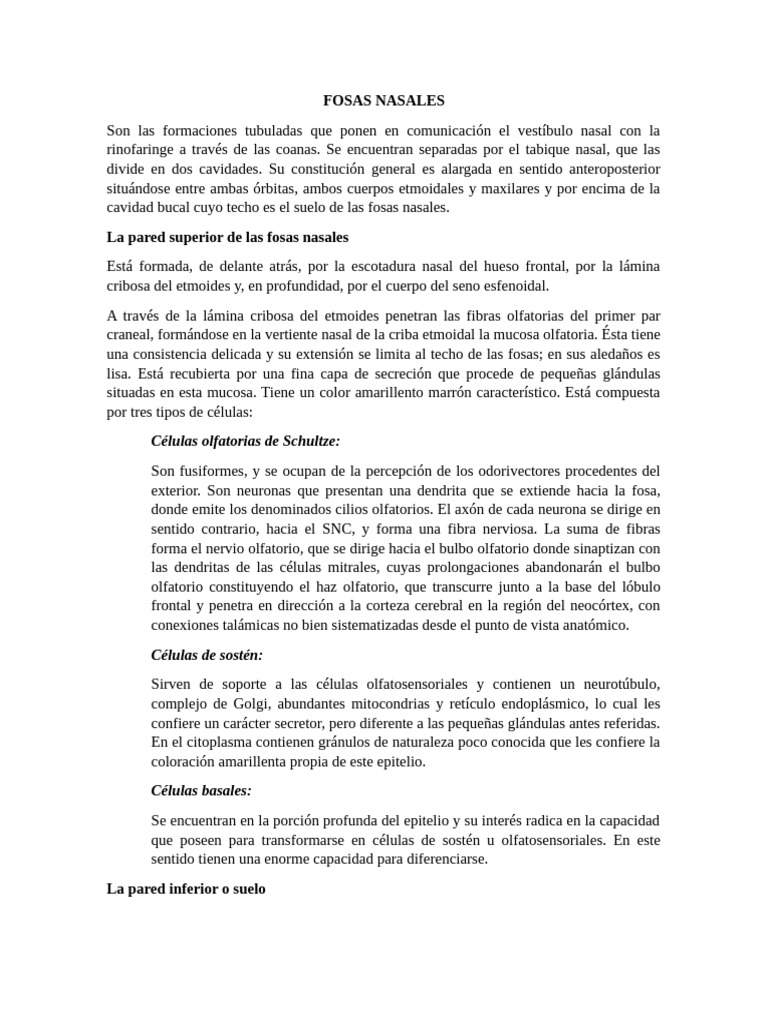 Anatomía de las Fosas Nasales | PDF | Nariz humana | Otorrinolaringología