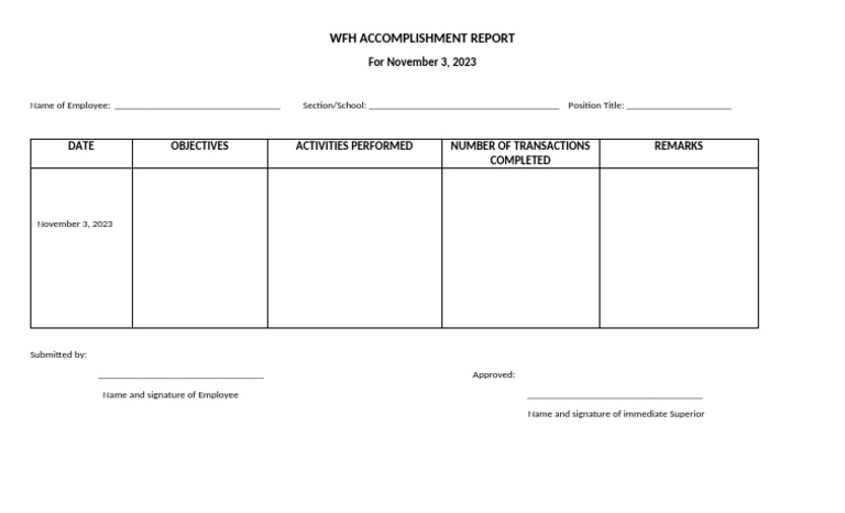 WFH Accomplishment Report | PDF