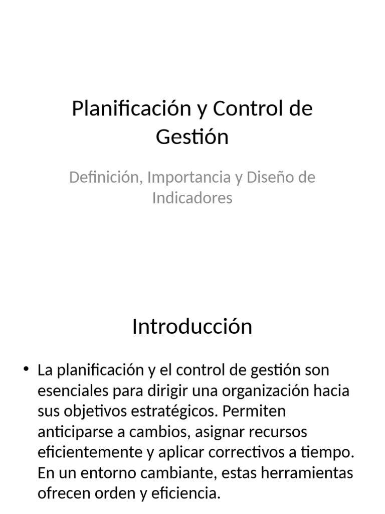 Planificacion y Control de Gestion | PDF