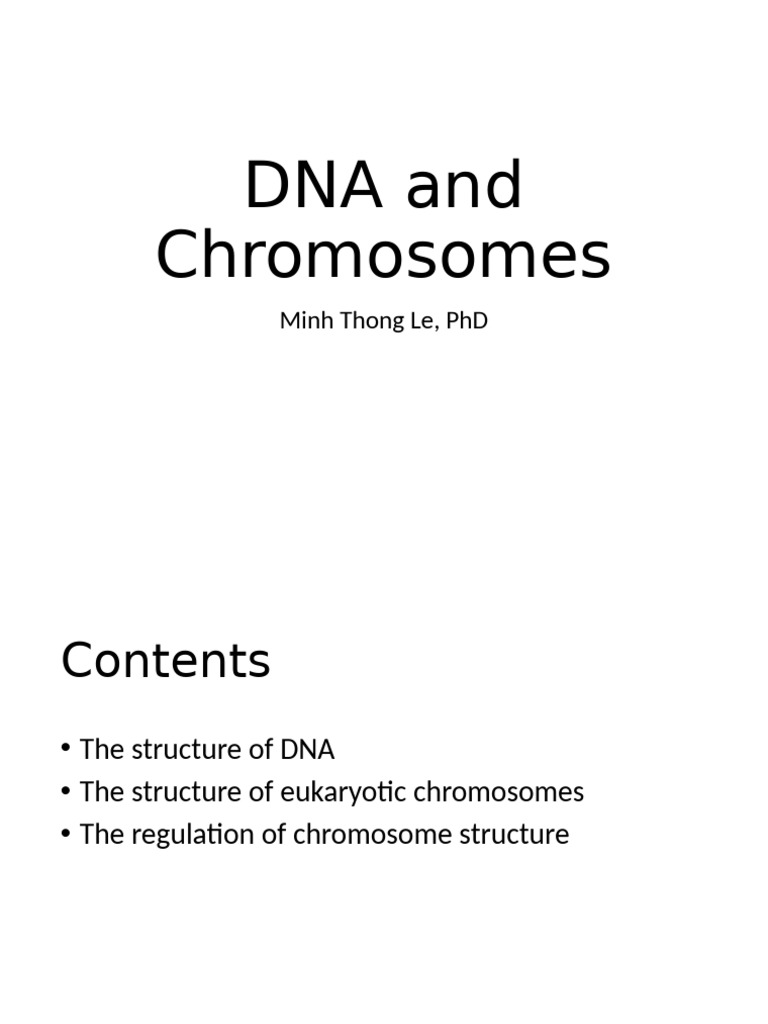 L5 DNA and Chromosomes | PDF