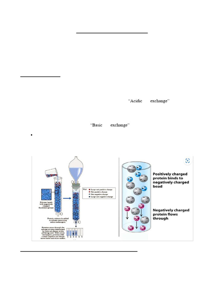 Ion Exchange Chromatography Overview | PDF | Chromatography | Ion