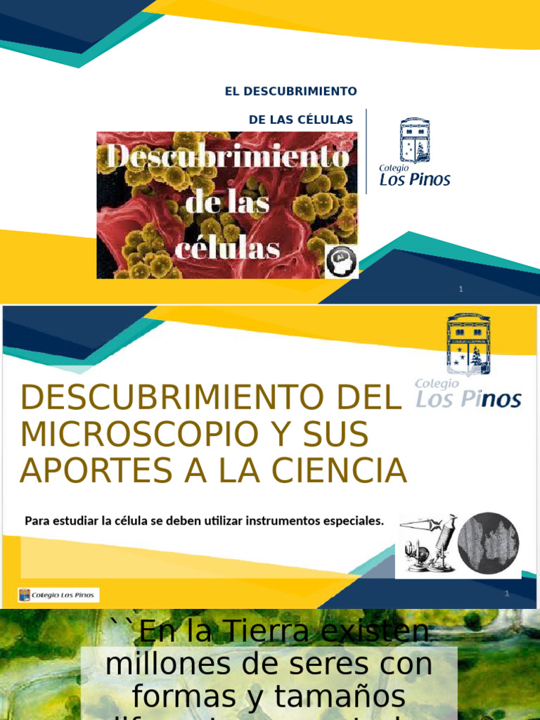 Teoria Celular y Clasificación de Las Celulas | PDF | Biología Celular ...