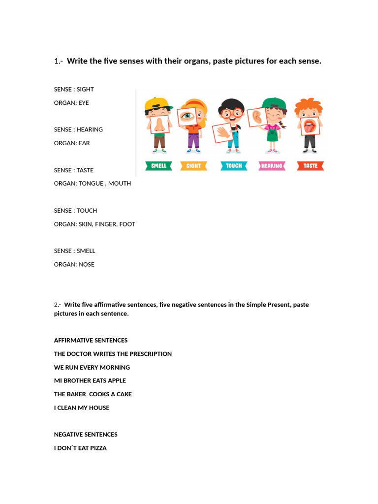 Five Senses and Simple Present Sentences | PDF