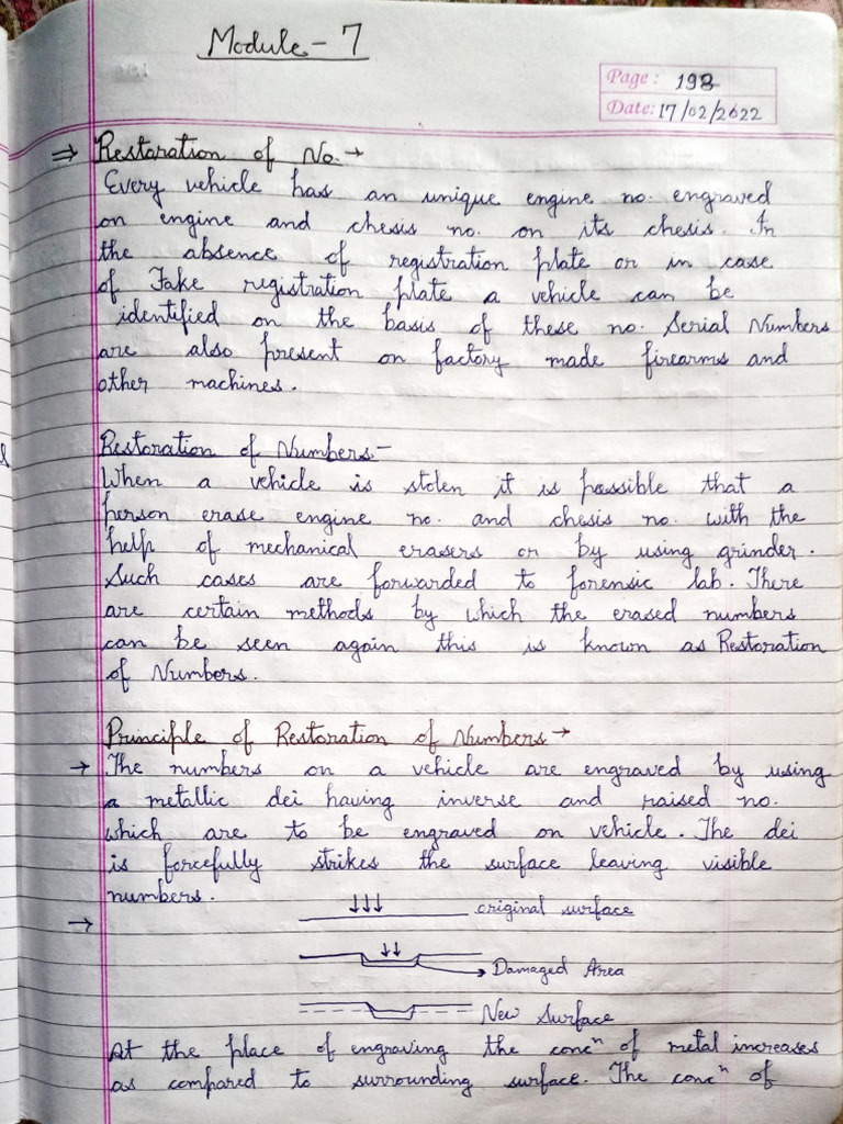 Forensic Module 7 Notes Half | PDF