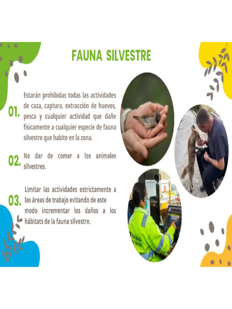Proteccion Fauna Silvestre | PDF