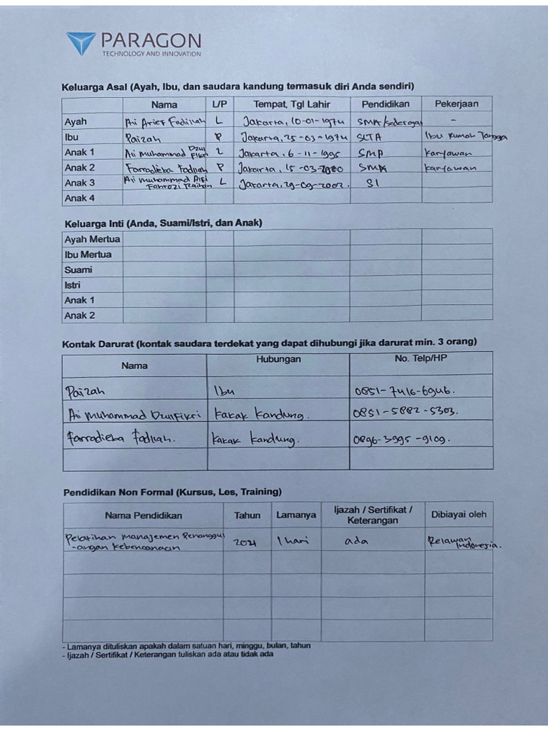 Softfile CV Paragon Ali Muhammad Alfi Fahrozi Raihan | PDF