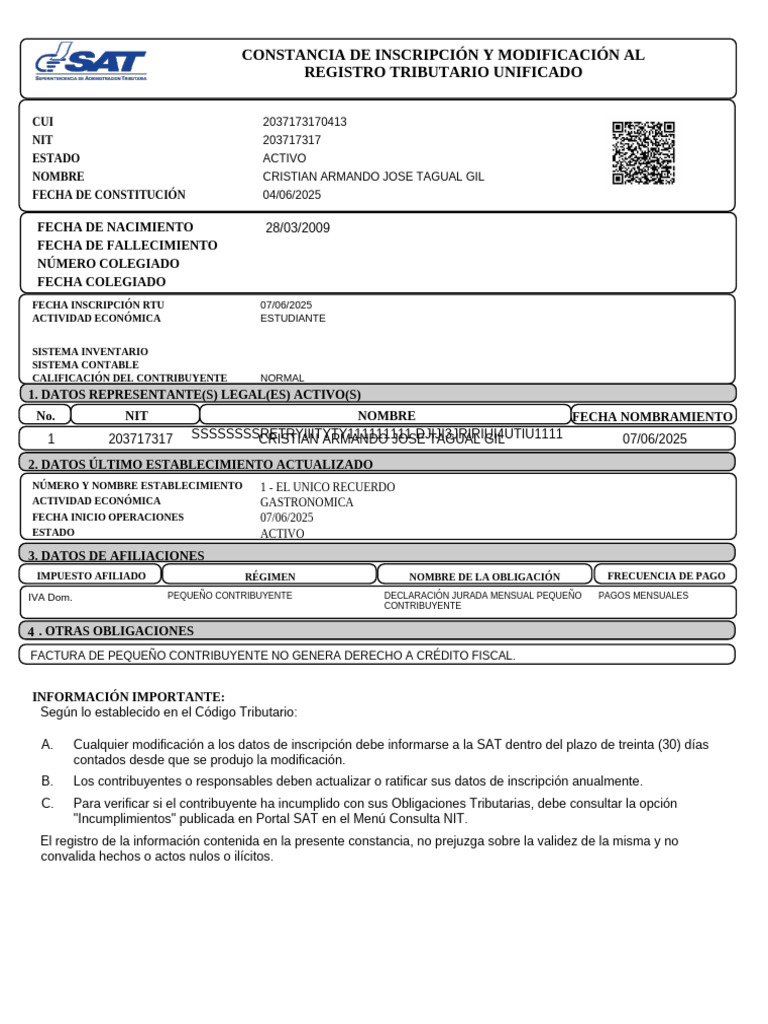 Constancia de Rtu | PDF | Factura