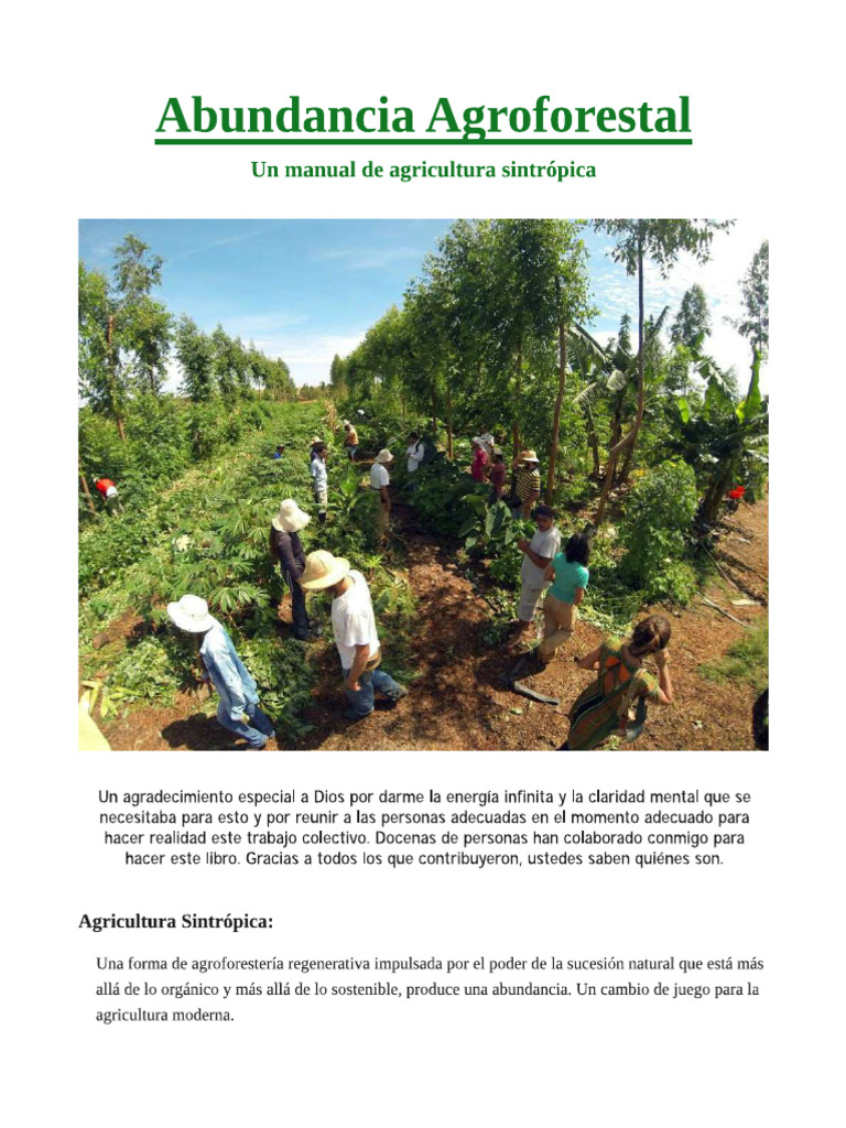 Guia Sintropia | PDF
