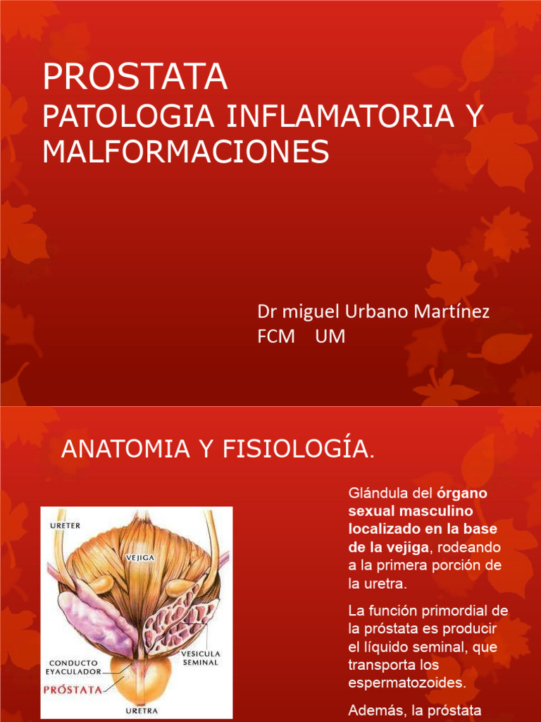 Prostata Patol Benigna 2023 | PDF | Próstata | Medicina CLINICA